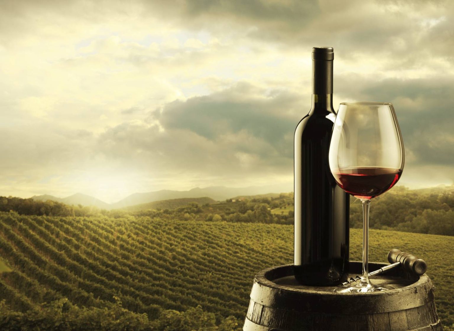 Quali sono i migliori vini veneti? | Touring Club Italiano