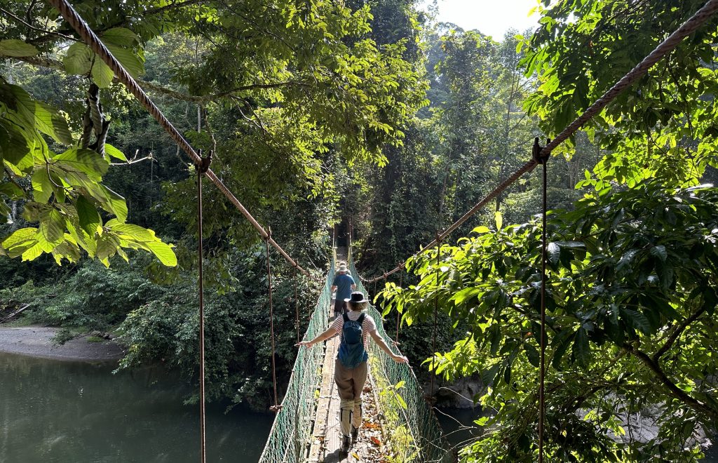 Viaggio nel Borneo malese. Puntata 4: la Danum Valley e il Borneo ...