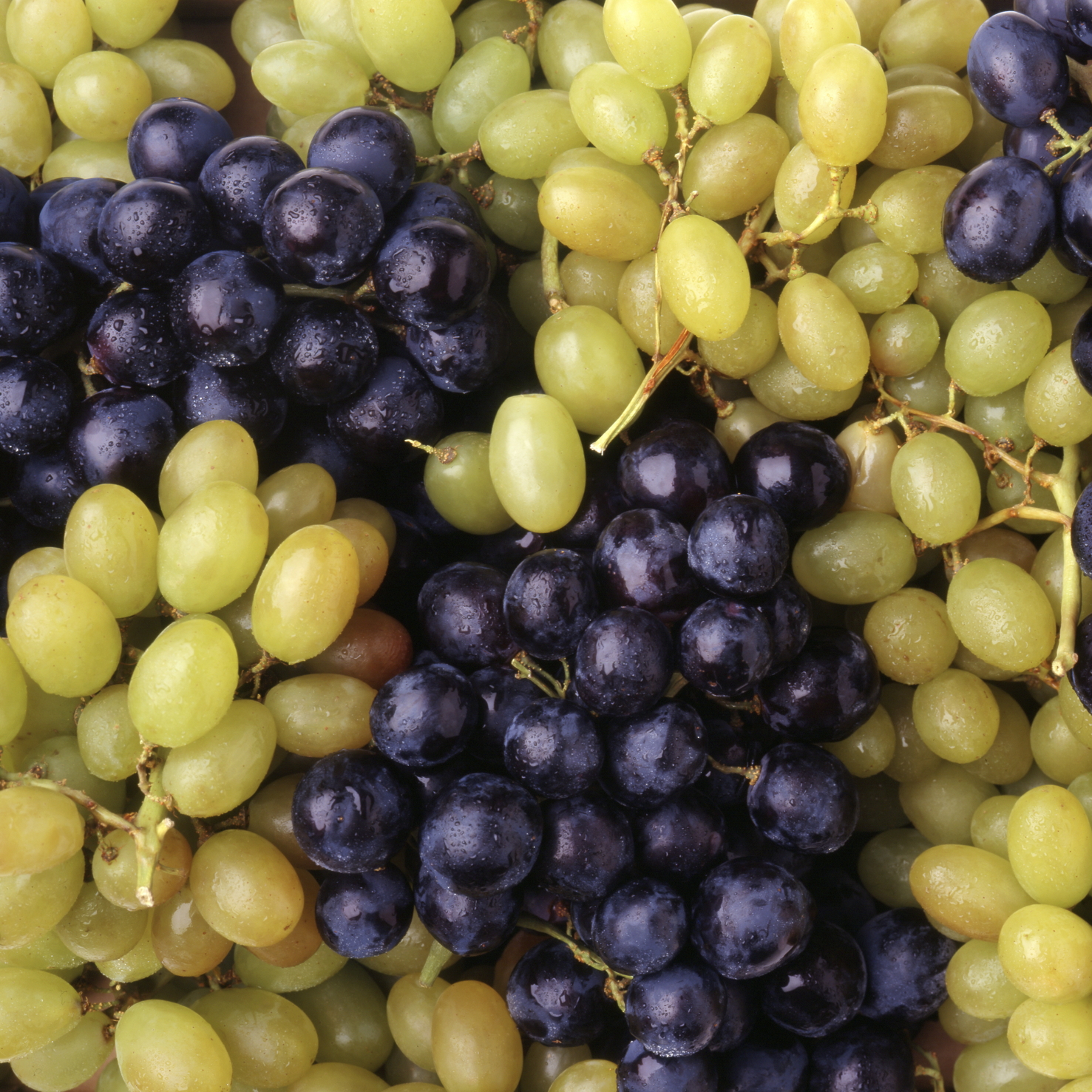 Quali sono i migliori vini friulani? | Touring Club Italiano