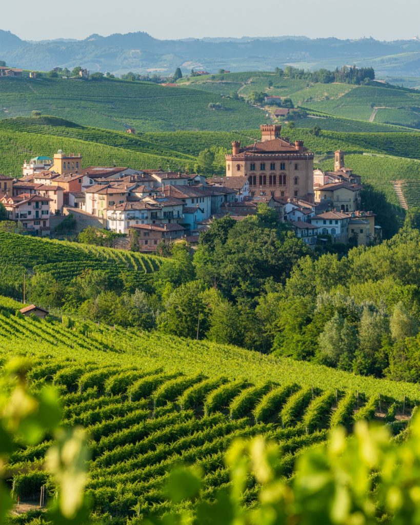 Quali sono i migliori vini veneti? | Touring Club Italiano