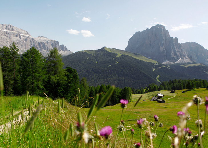 10 trekking da fare sulle Dolomiti | Touring Club Italiano