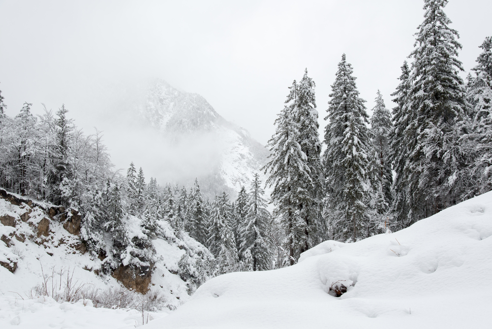 "C’era una volta la neve", nel numero di Mappe dedicato alla Montagna ...